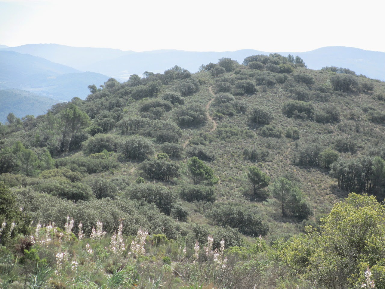 Montículo hacia el que descenderemos y al que deberemos subir por senda ...