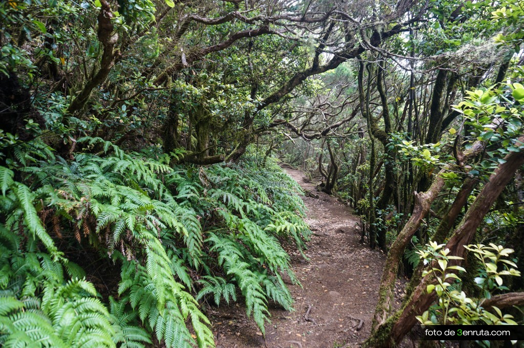 Caminar por el sendero es realmente mágico - 3enruta.com